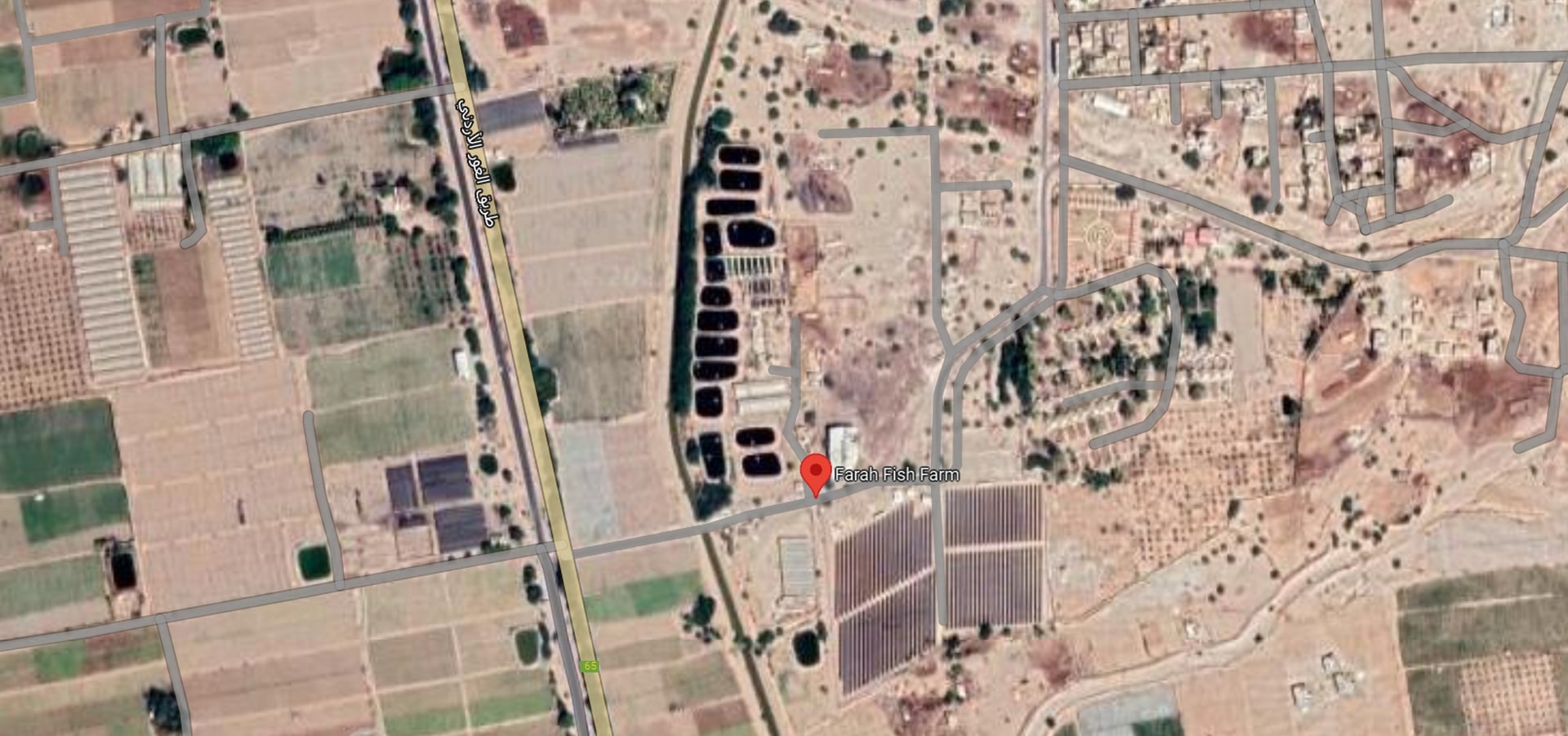 Farah Fish Farm – Catch of the day